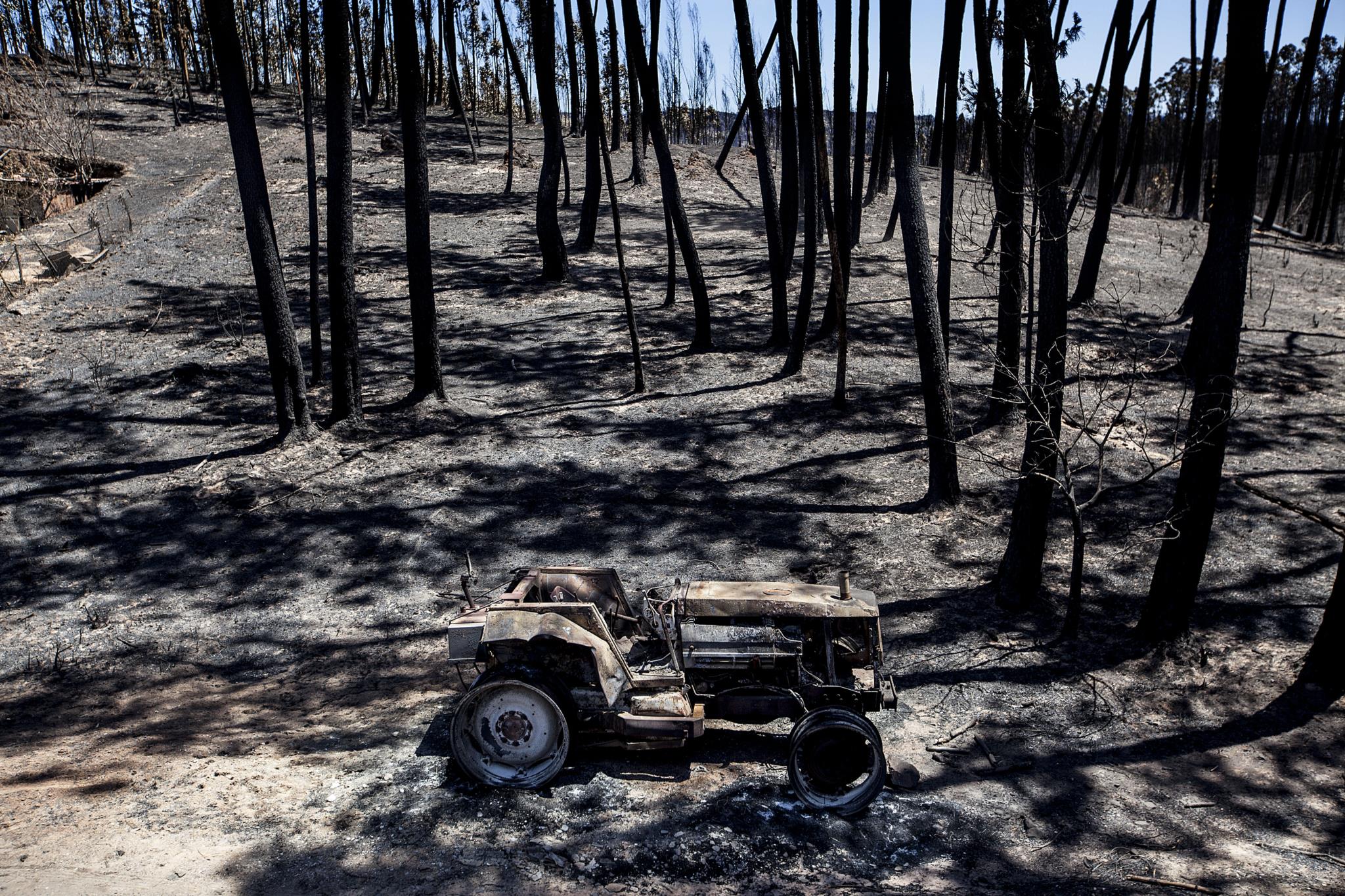 Sobre a publicação do capítulo 6 do relatório sobre o incêndio de ...