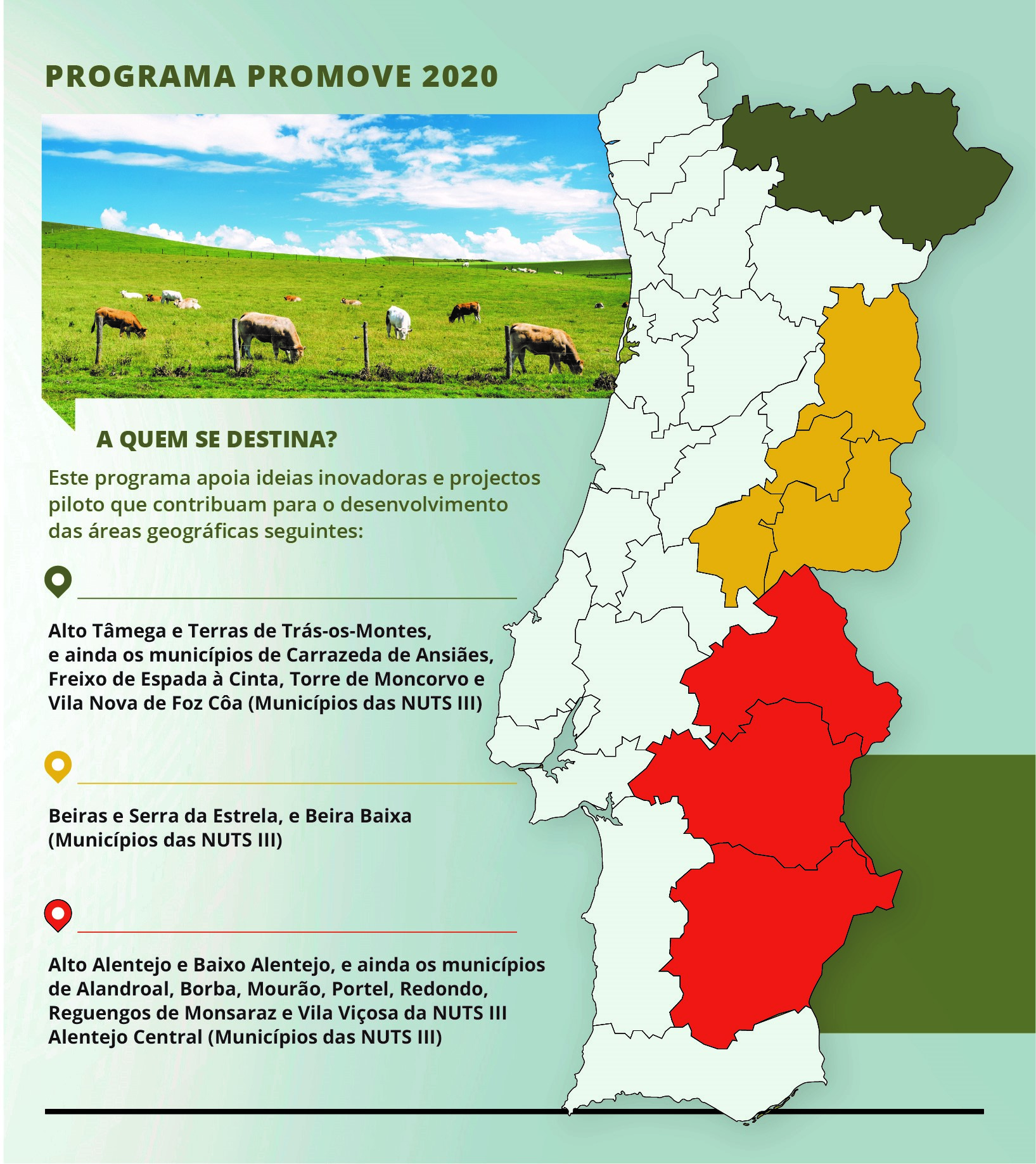 Programa Promove 2020: vamos desenvolver o interior de Portugal ...