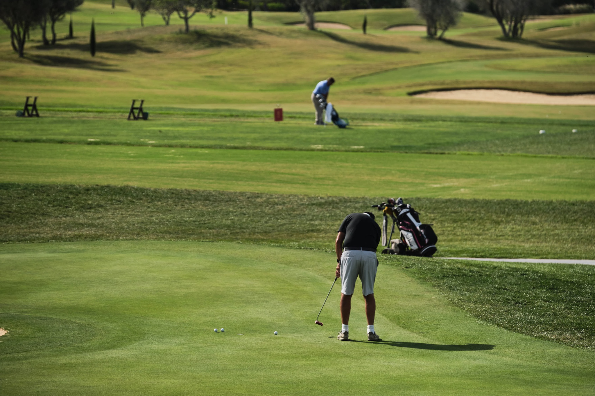 Há 40 campos de golfe no Algarve a usarem água potável? | PÚBLICO