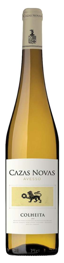 Entre Douro e Marão: Viajar nas curvas e contracurvas de Baião ...