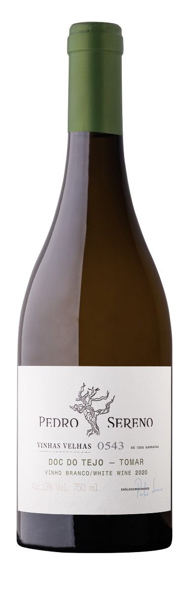 Pedro Sereno Vinhas Velhas 2020 | Crítica | PÚBLICO