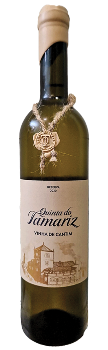 Quinta do Tamariz Vinha do Cantim Reserva Branco 2020 | Crítica | PÚBLICO