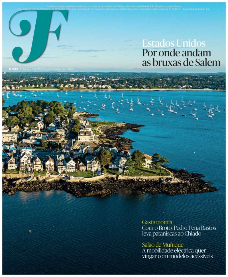 Genie 3 da Google gera mundos 3D interactivos a partir de texto ...