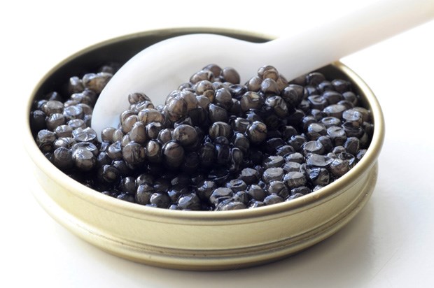 O último caviar beluga iraniano - Life&Style