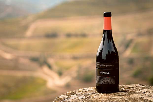 Meruge, nome de grandes vinhos