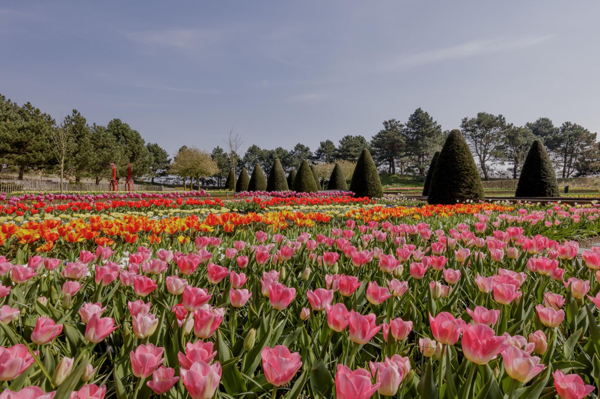 Fugas fotogaleria - Portões do maior parque de flores do mundo voltam a ...