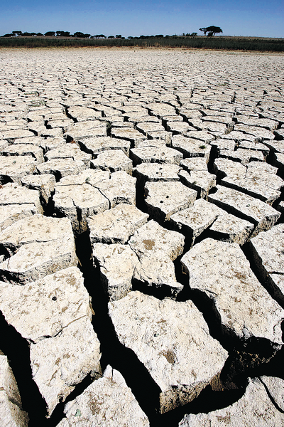 Alentejo pode estar a caminho da pior seca de sempre | LOCAL LISBOA ...