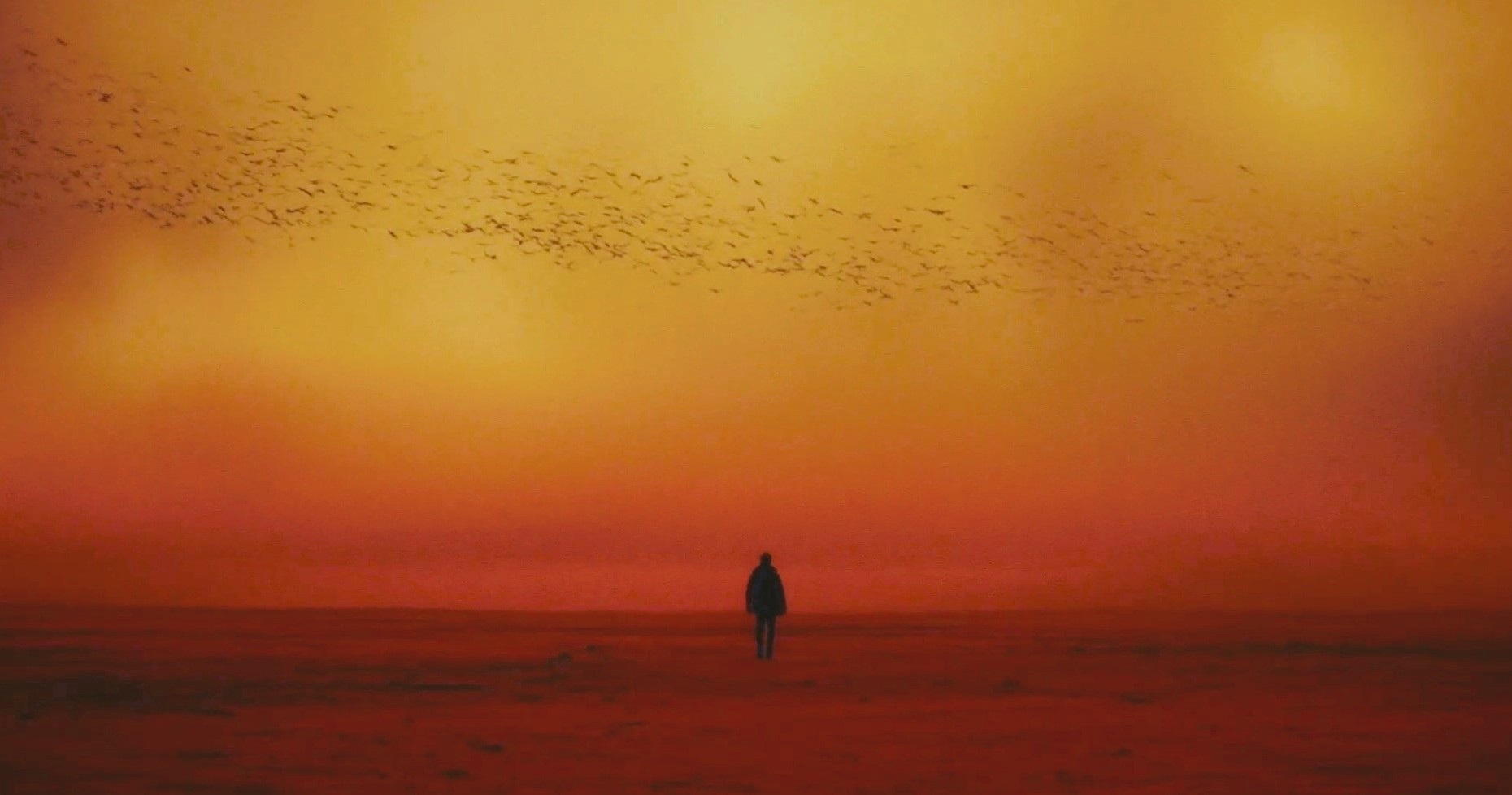 Dez anos depois de “Breath”, Neev une-se aos Seeb e a 11Lit3s num novo ...